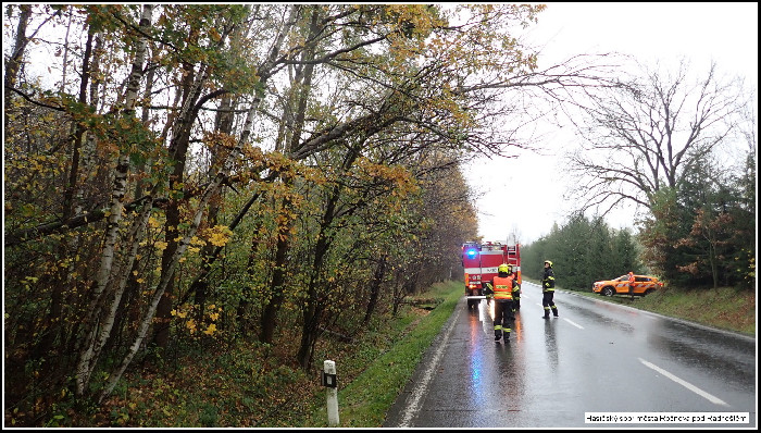 Stromy hrozily pádem na silnice E442 v katastru obce Dolní Bečva ...